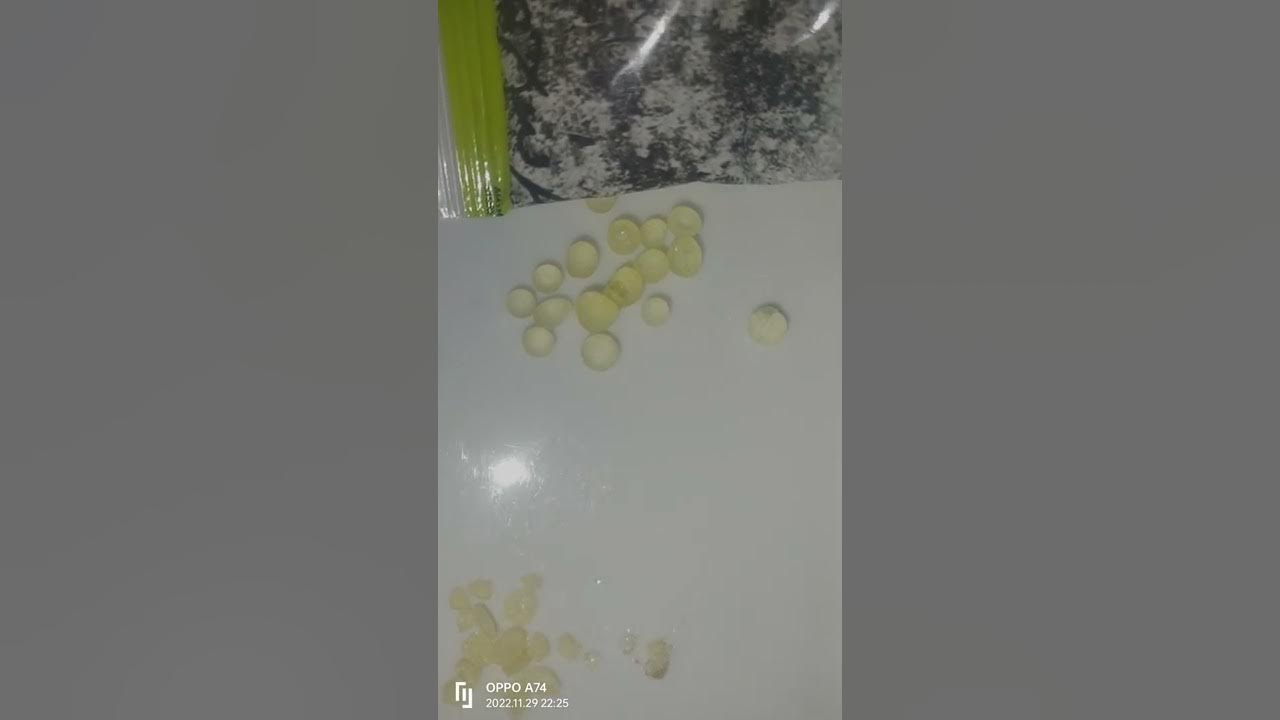 ازاي تعرف المستكة المغشوشة وتميز بين المستكة اليوناني والتركي - YouTube