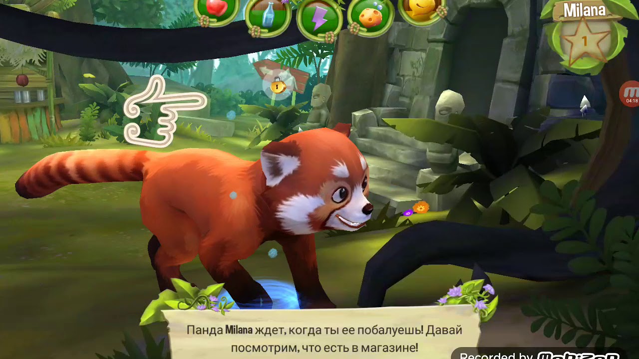 My Red Panda. Моя красная панда. Игра. - YouTube