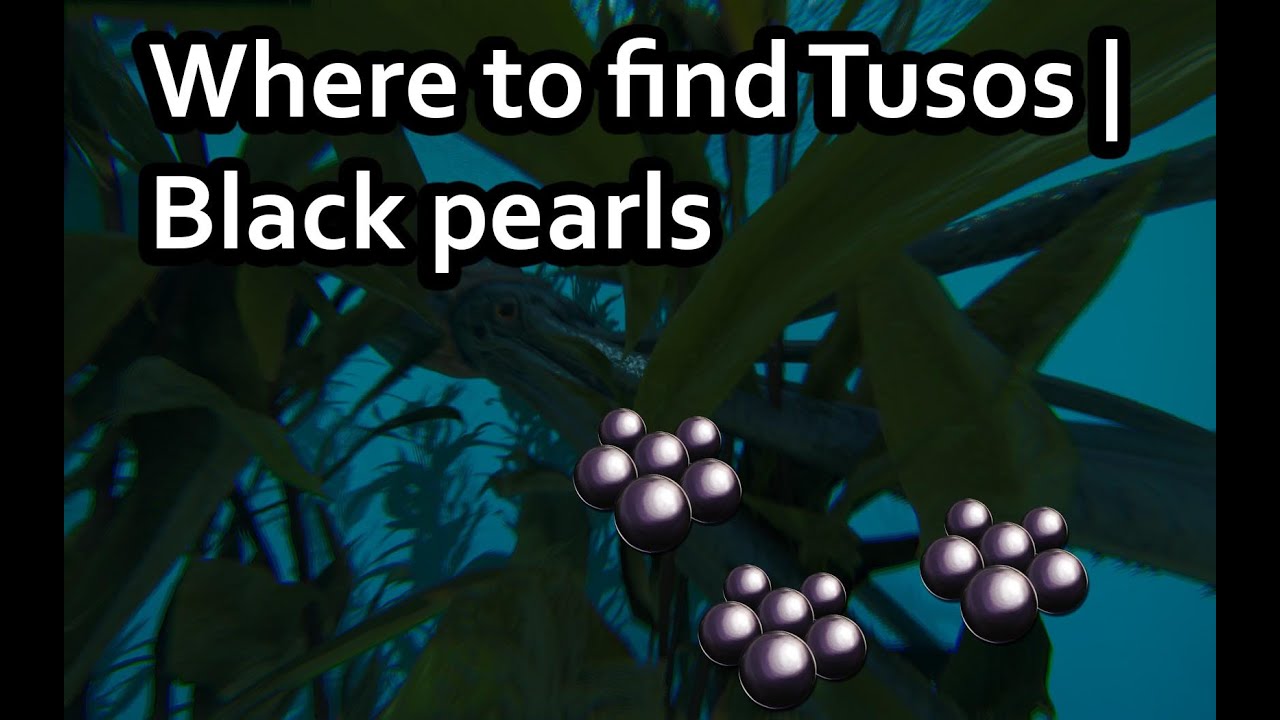 ASA | Center | Black Pearl locations | find Tusoteuthis - YouTube