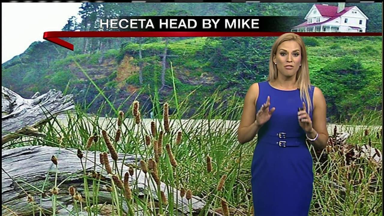 Sabrina Reese Weather - YouTube