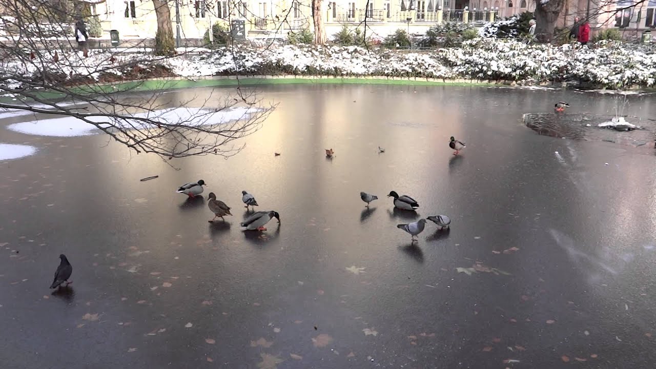 Zimske radosti na zaledjenom jezeru.m2ts - YouTube