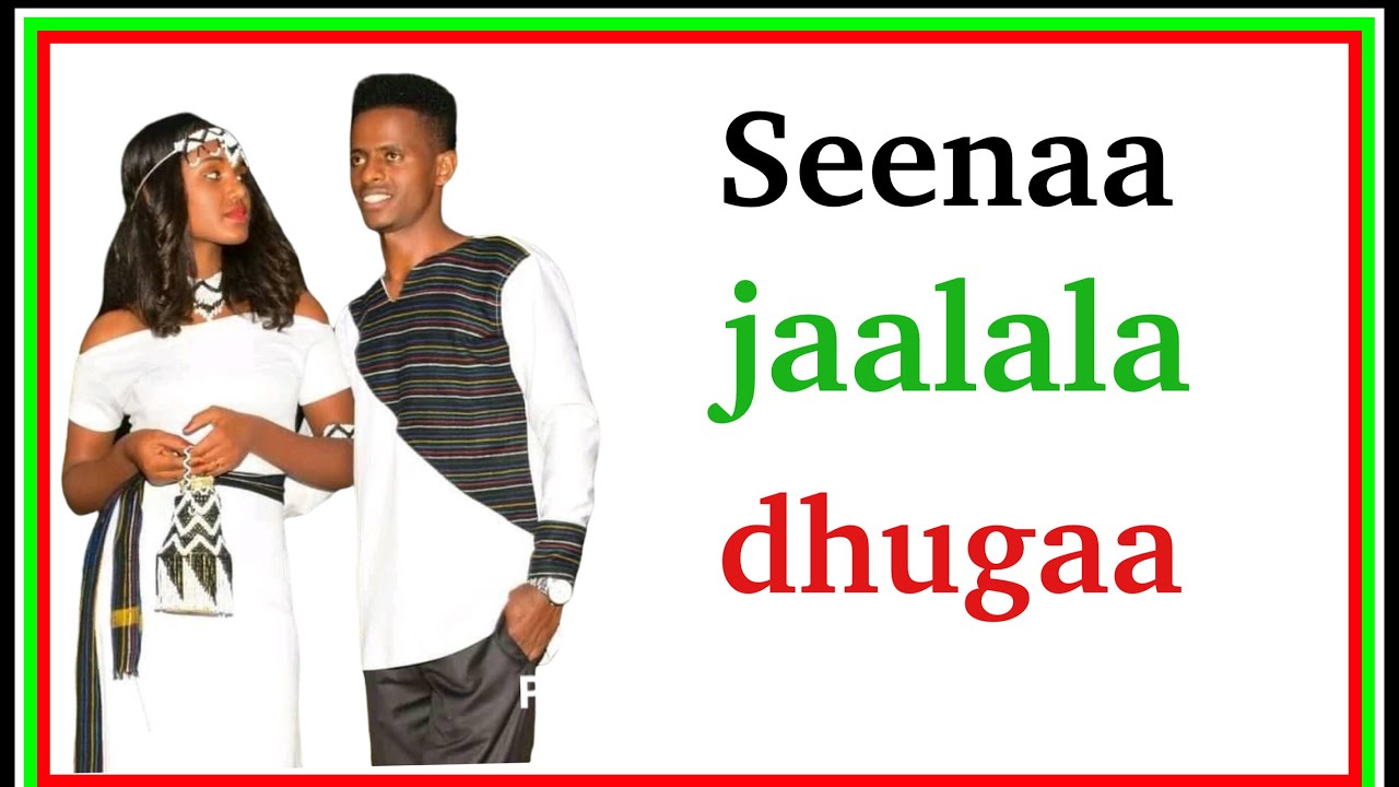 🛑seenaa jaalala dhugaa #oromiyaa #ethiopa - YouTube