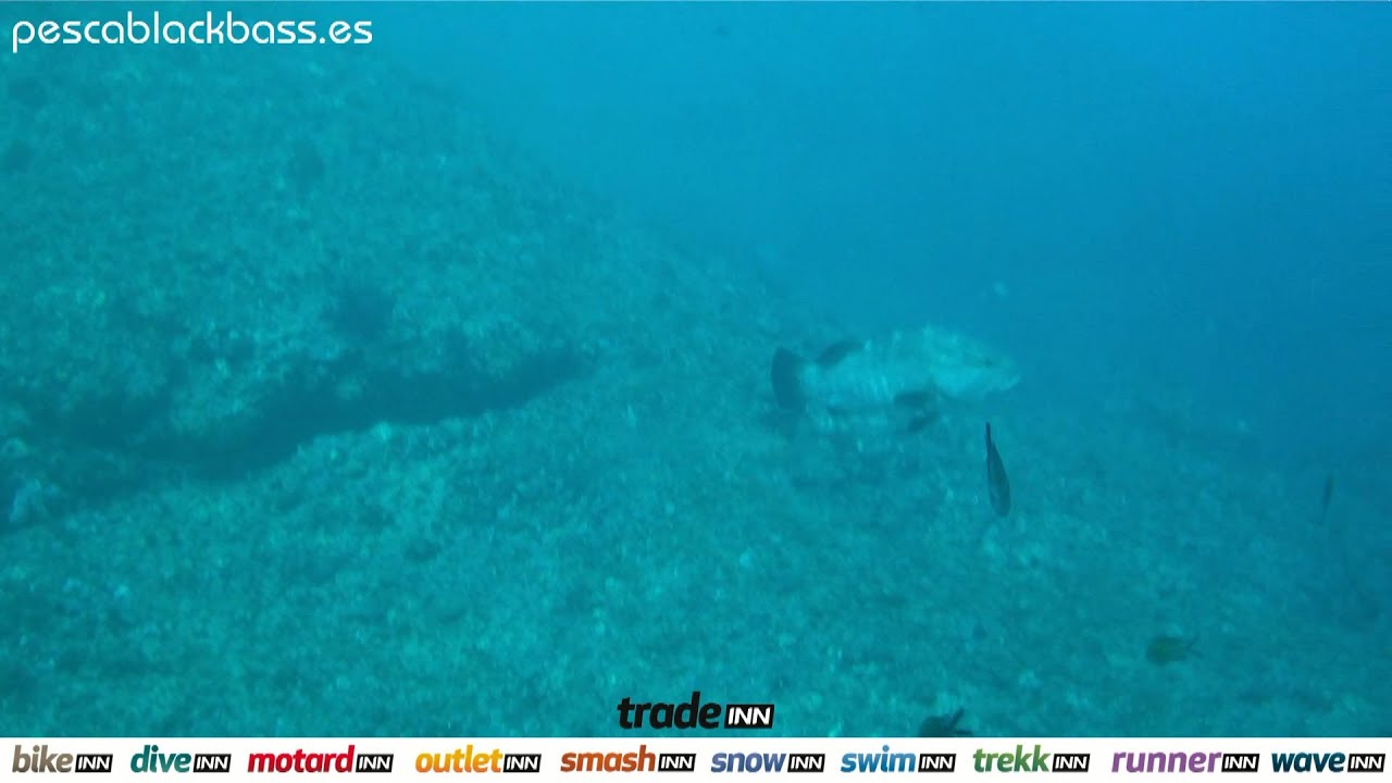 Midland XTC-300 - Submarinismo en les Illes Medes (parte 1) - YouTube