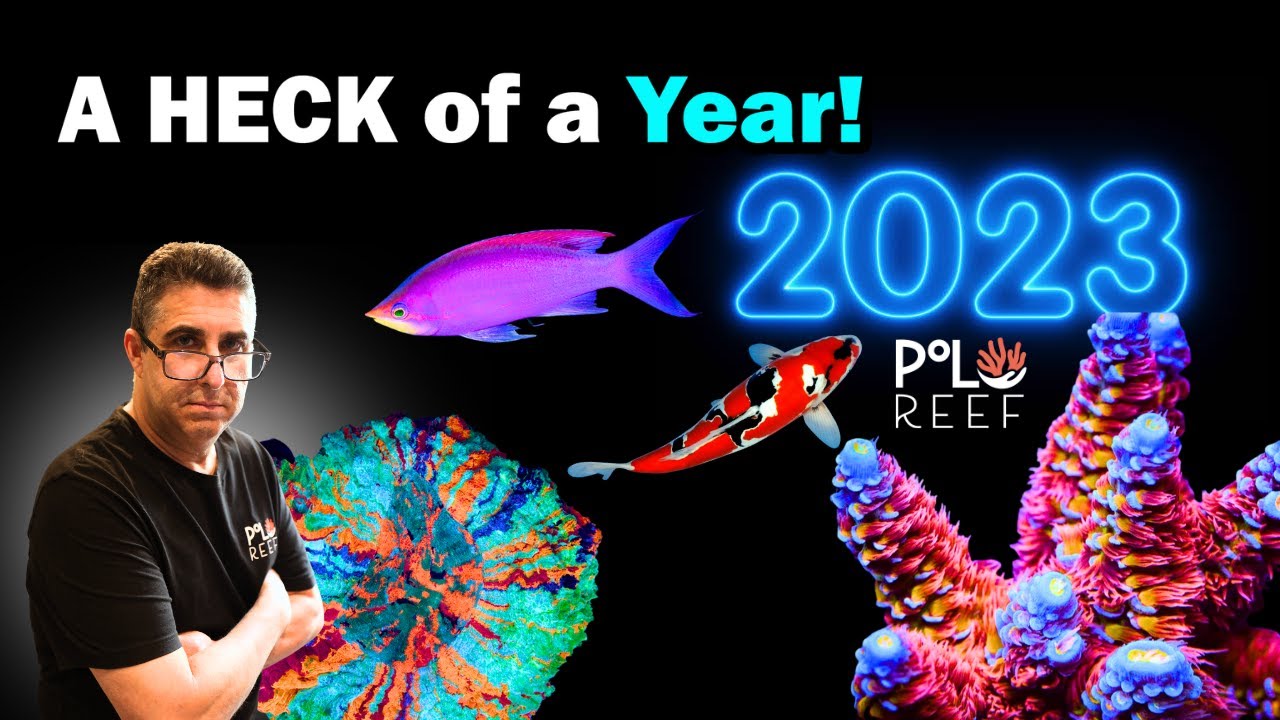 What an AMAZING year! - Looking back at 2023! - YouTube