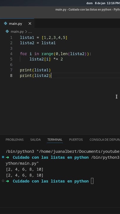 ¡Cuidado con las Listas en Python! 🐍 #raspberrypi #programming #vscode ...