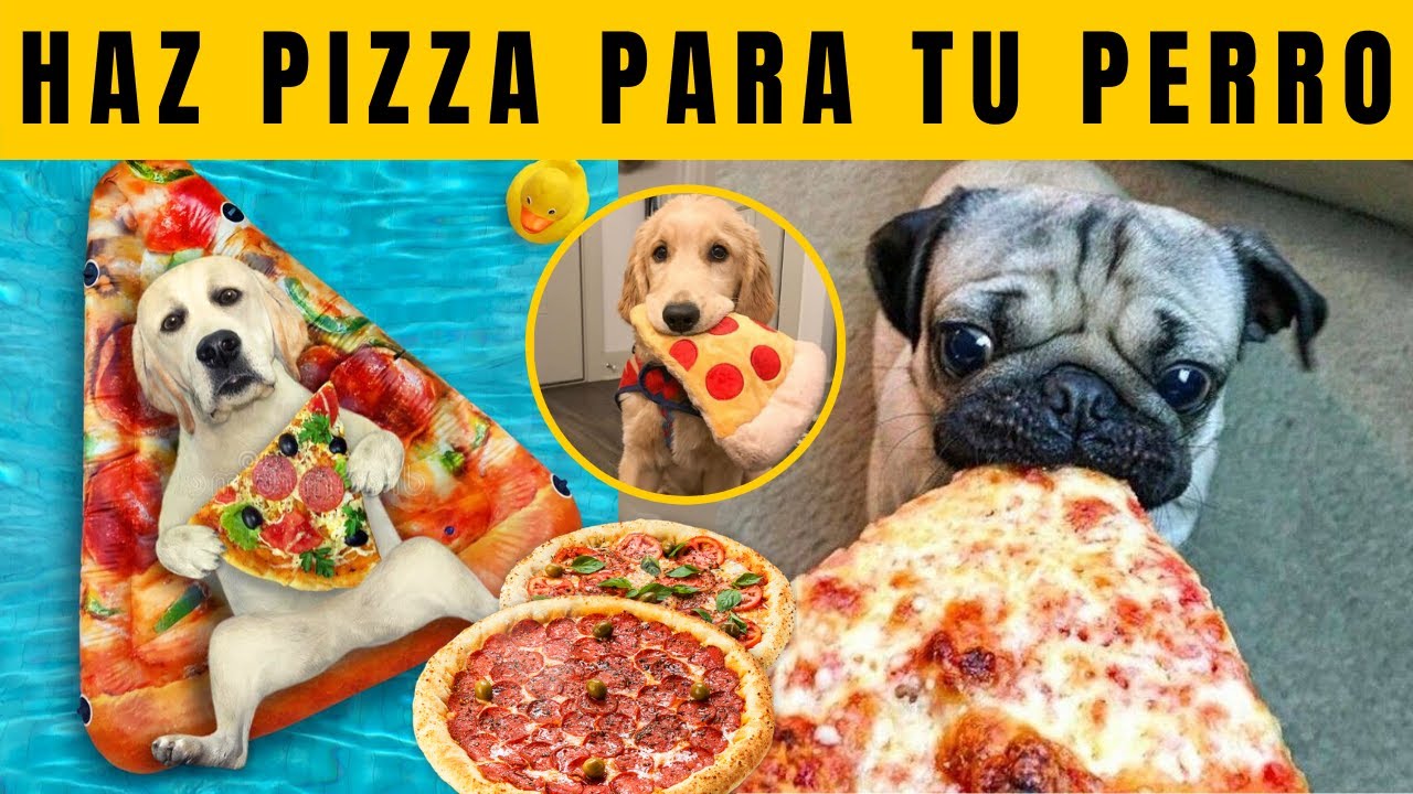 Pueden Los Cachorros Comer Masa De Pizza