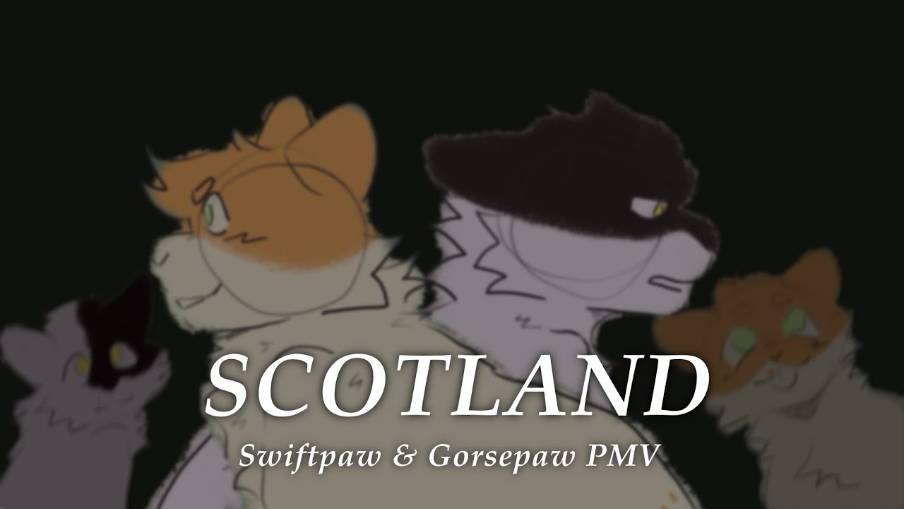 SCOTLAND. || Swiftpaw and Gorsepaw PMV || - YouTube