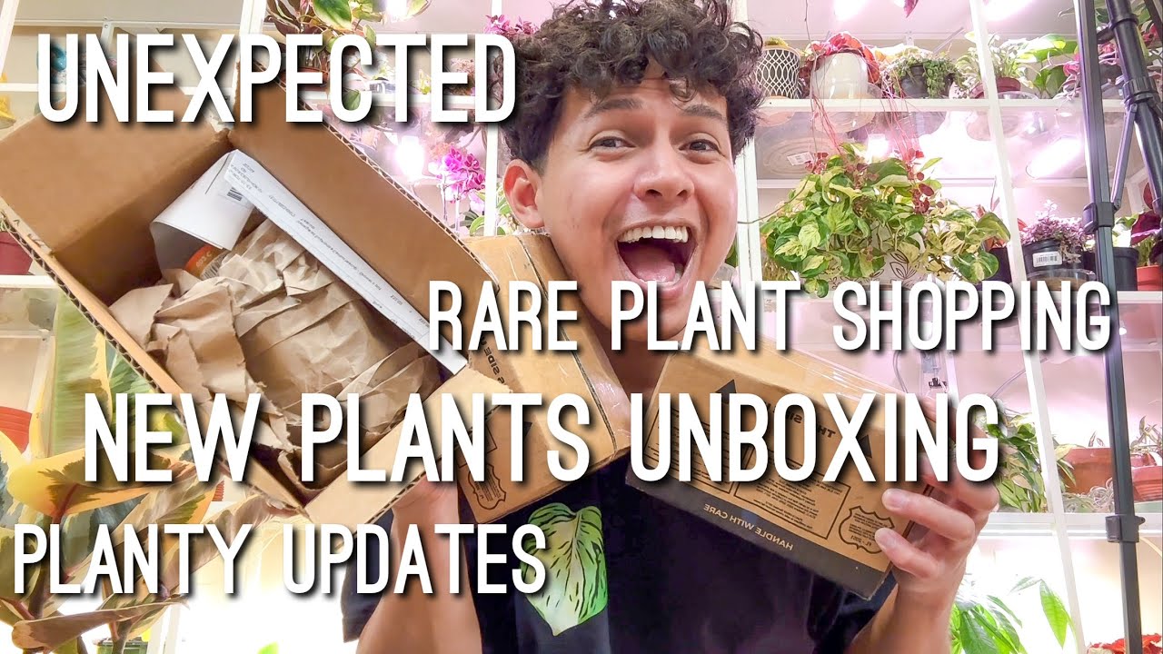 A very fun planty vlog! Costa Farms new plants unboxing! Cactus! Rare ...