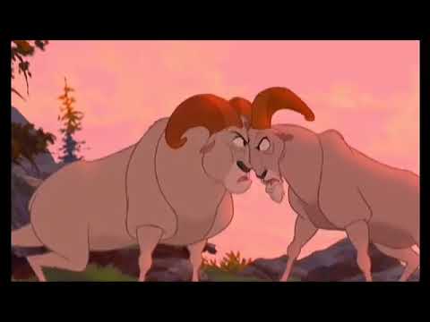 Tierra de Osos ¡No Tú Cállate