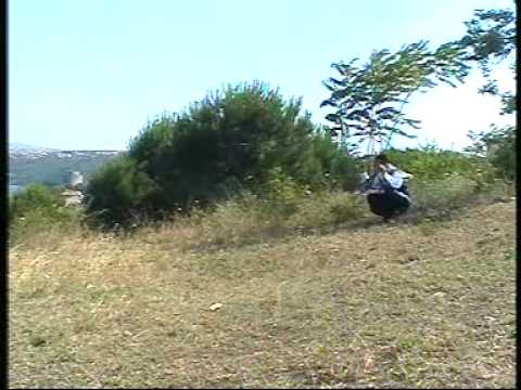 mıhemede şexani  beriwanım