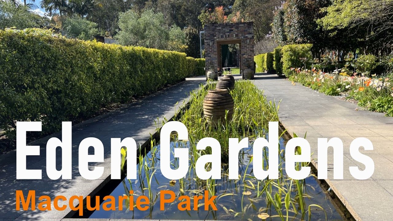 Not just a Nursery - Eden gardens Macquarie Park - YouTube