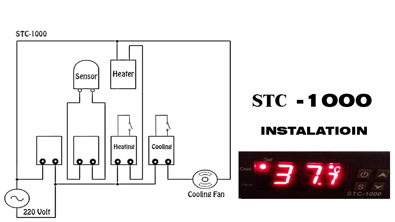 Incubator Temperature Setting STC 1000 - YouTube