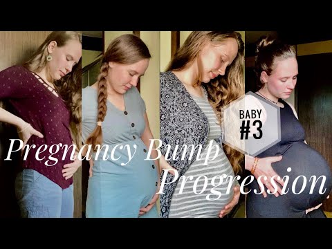 Pregnant Baby Bump Progression | Pregnancy with baby number 3 | #pregnancy #babybump
