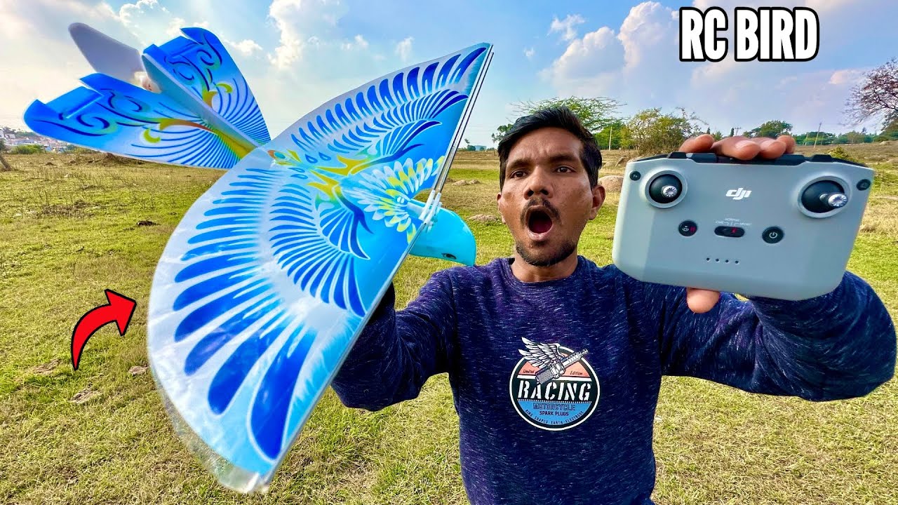 RC Bionic Flying Sparrow E Bird Unboxing & Testing - Chatpat toy tv ...