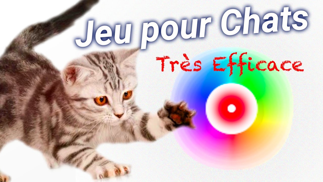 Jeux Pour Chat Sur Ecran : LASER DE PLUSIEURS COLORS - Mettez votre ...