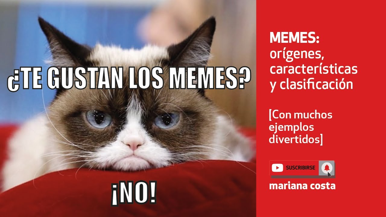 👉¿Qué son los MEMES? definición, tipos y ejemplos divertidos🍉 - YouTube