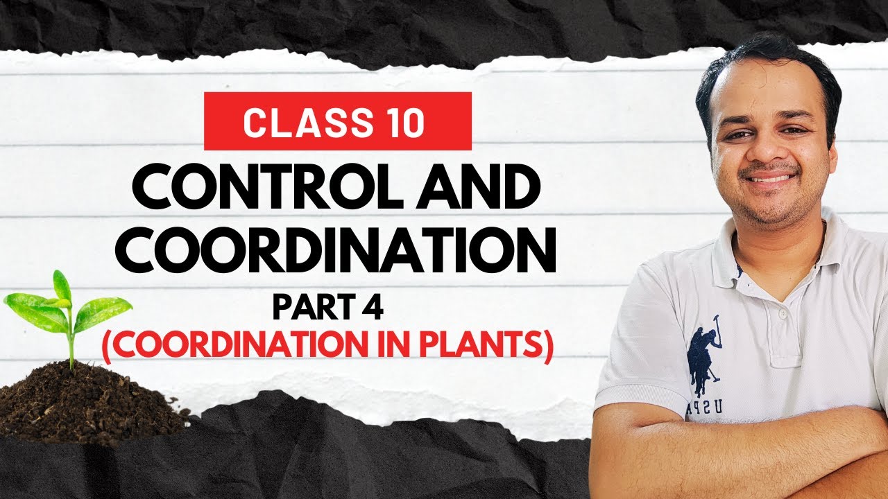 Control and Coordination (P4) | Class 10 | Coordination in Plants ...