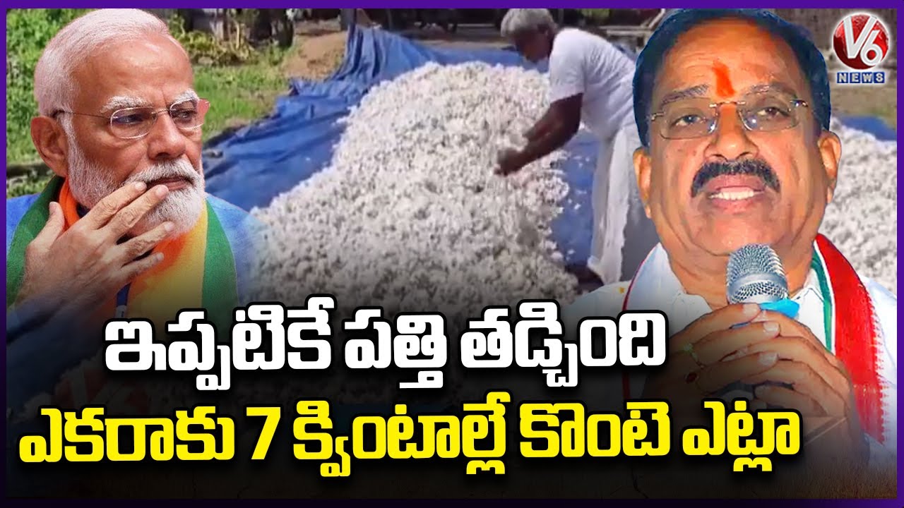 Minister Tummala Nageswara Urges Centre to Remove 7-Quintal Per Acre ...