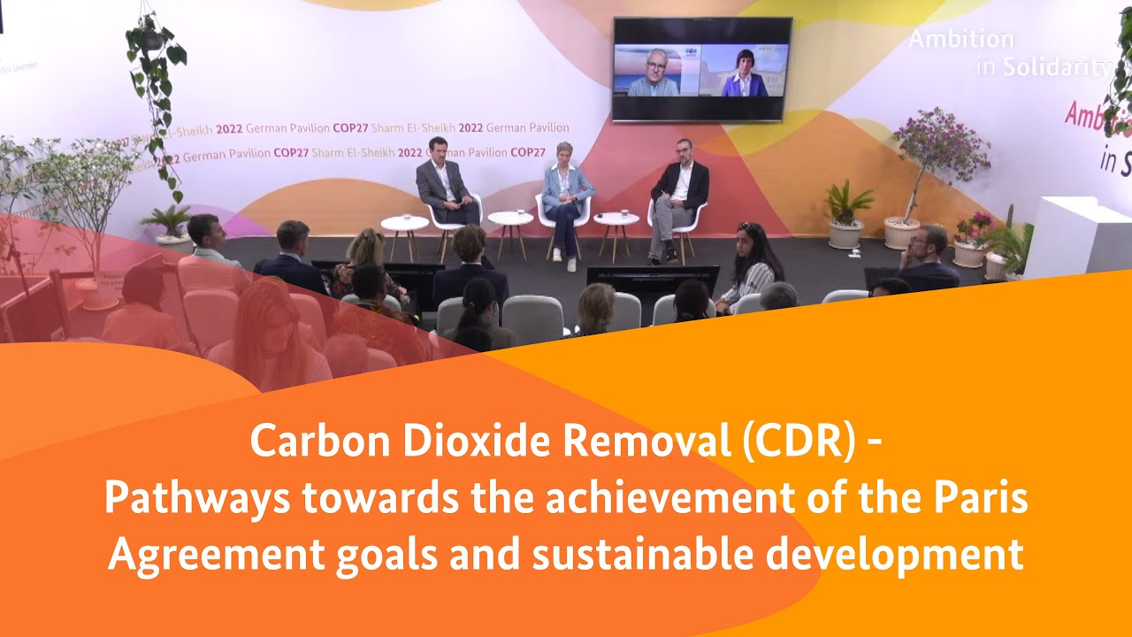 Carbon Dioxide Removal (CDR) - Pathways towards the achievement of the ...