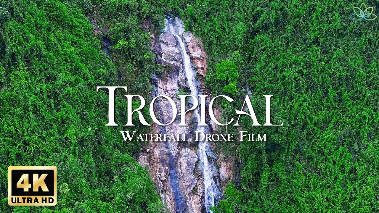 Amazing 4K Tropical Scenery • Serenity Soothing Piano Music with ...