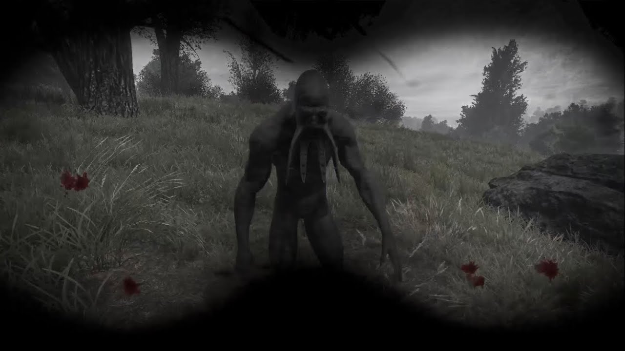 Stalker Z survival take 2 - YouTube