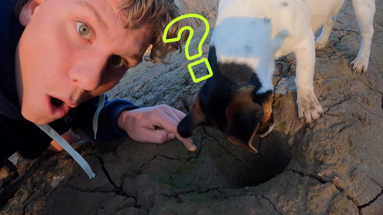 How To Catch Big Yabbies In The Middle Of Winter - YouTube