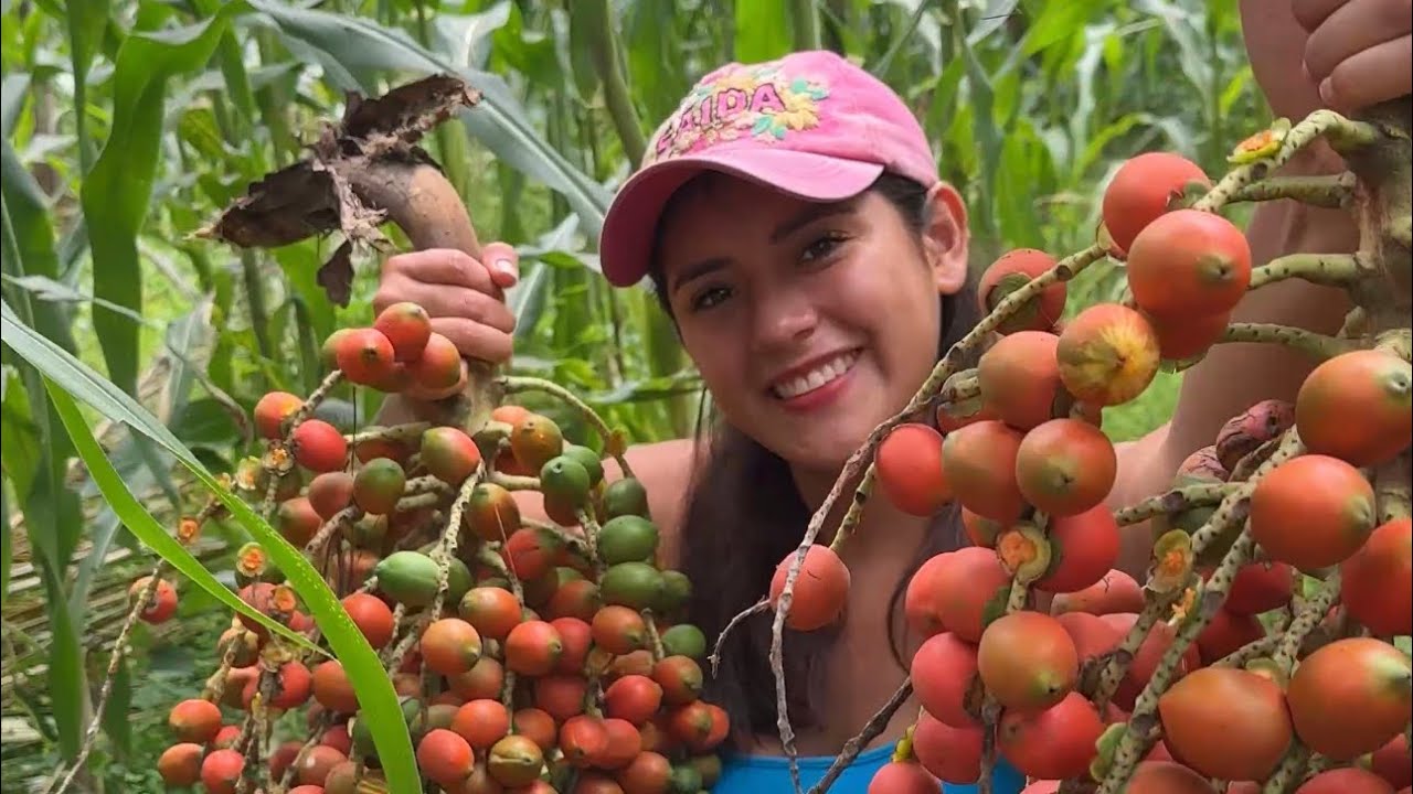 Cosechando Chontas para mi Familia que vive Lejos ~ Saida ZC ~ 💚 - YouTube