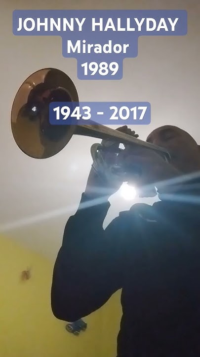 JOHNNY HALLYDAY Mirador - YouTube