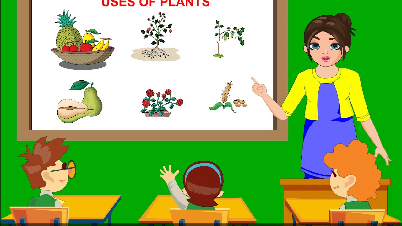 EVS (Class 3 ch 10) - YouTube