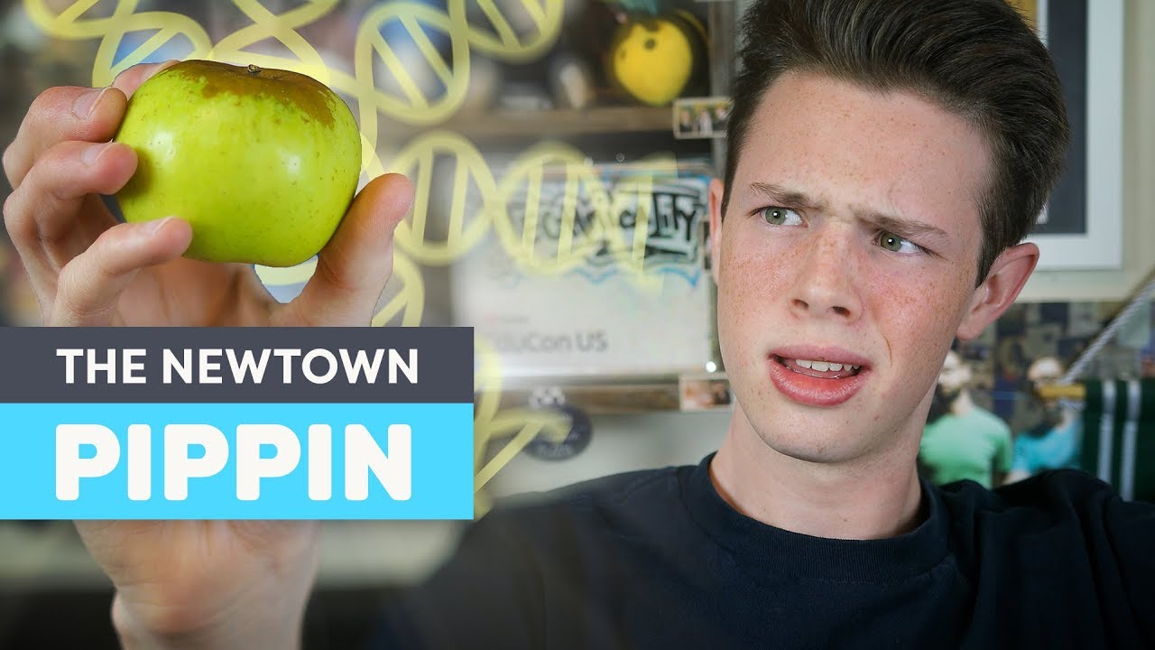 The Most Important Apple You’ve Never Heard Of (feat. @TierZoo) - YouTube