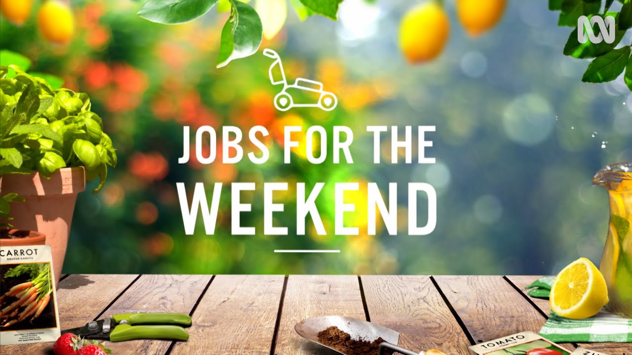 Spring: week 4 | Jobs for the weekend | Gardening Australia - YouTube