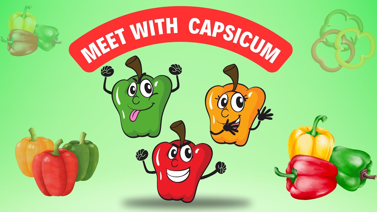 vegetables |Met Capsicum | Learn About Capsicum |Video For Kids - YouTube