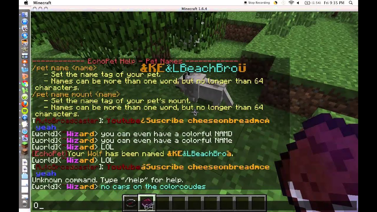 Minecraft-Plugin Tutorial-TWO PLUGINS ItemRenamer And EchoPet - YouTube