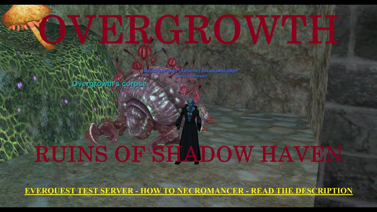 Night of Shadows - Overgrowth - Ruins of Shadow Haven T2 - How to ...