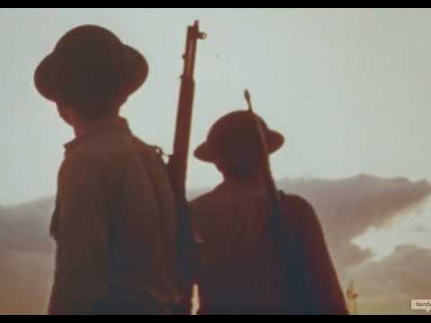 Pinebox - Lyrics Video
