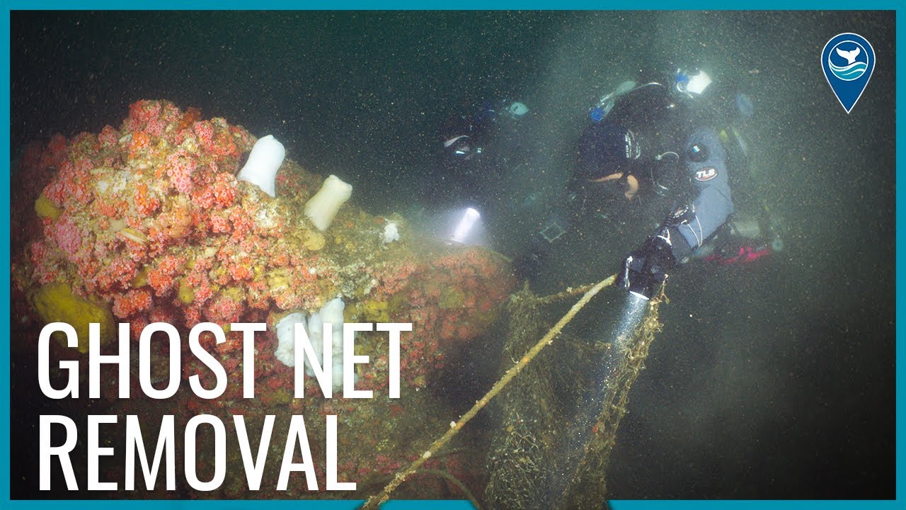 Ghost Net Removal in Monterey Bay National Marine Sanctuary - YouTube