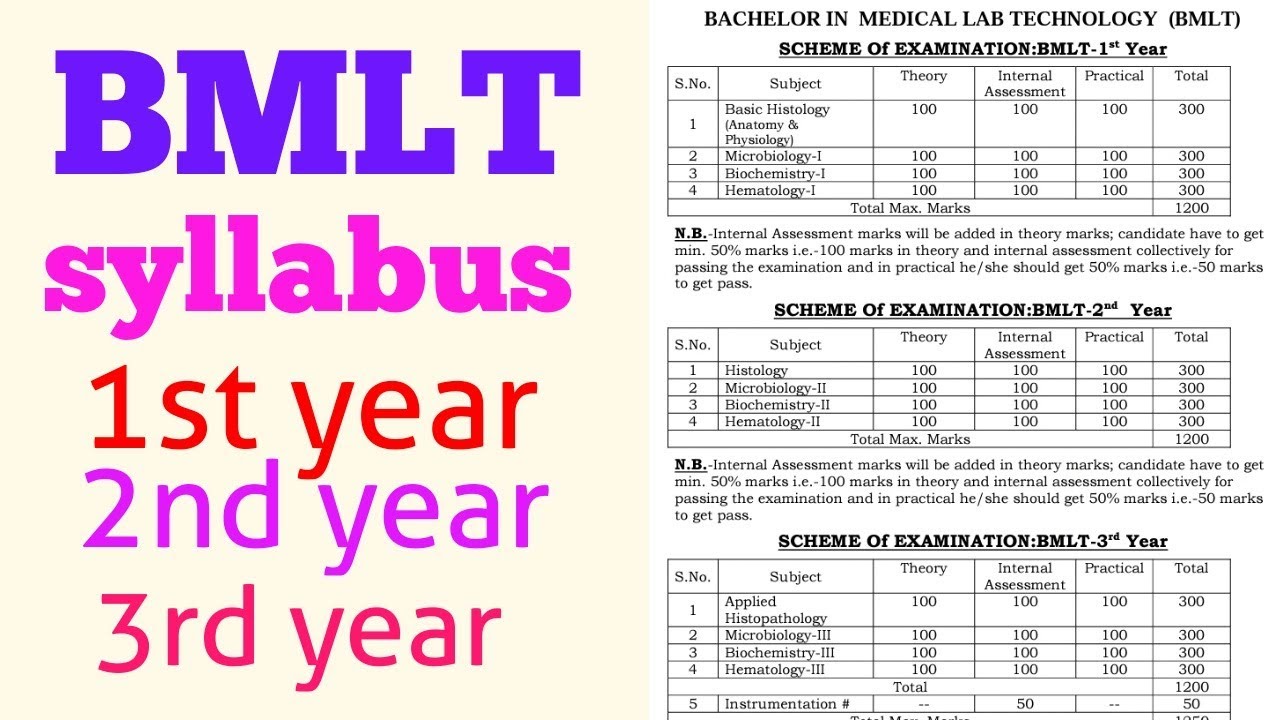 Bmlt Syllabus 1st 2nd 3rd Year YouTube bmlt-syllabus-1st-2nd-3rd-year-youtube