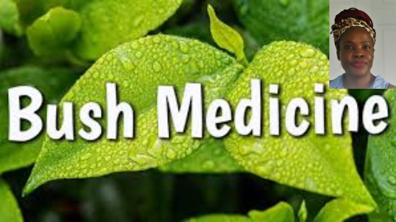 Health Benefits Of Bush Medicine |#traditional medicine |#bushtea | # ...