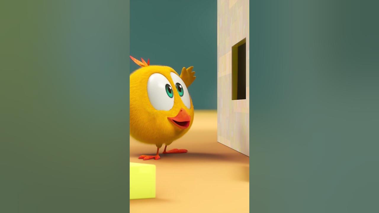 Let's learn with Chicky and Poyo #Shorts #Chicky | Cartoon for kids ...