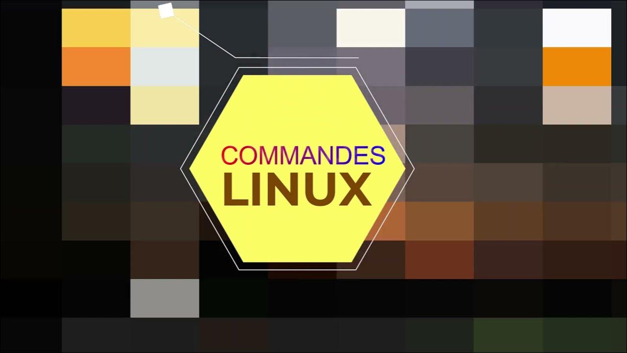 01 - Commandes Linux : Introduction - YouTube