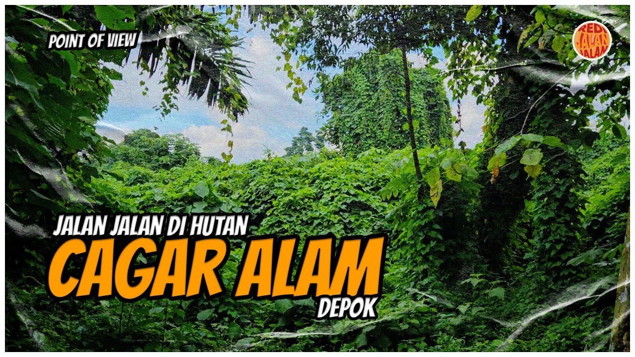 Cagar Alam Kota Depok, Jawa Barat I Taman Hutan Raya I TAHURA - YouTube