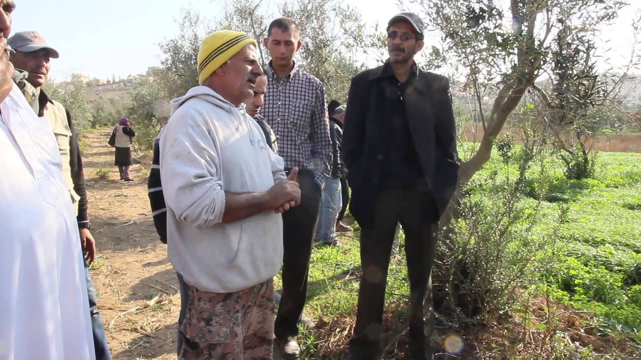 Palestinian Farmers Tour In Jordan: Cultivation of Fodder Crops ...
