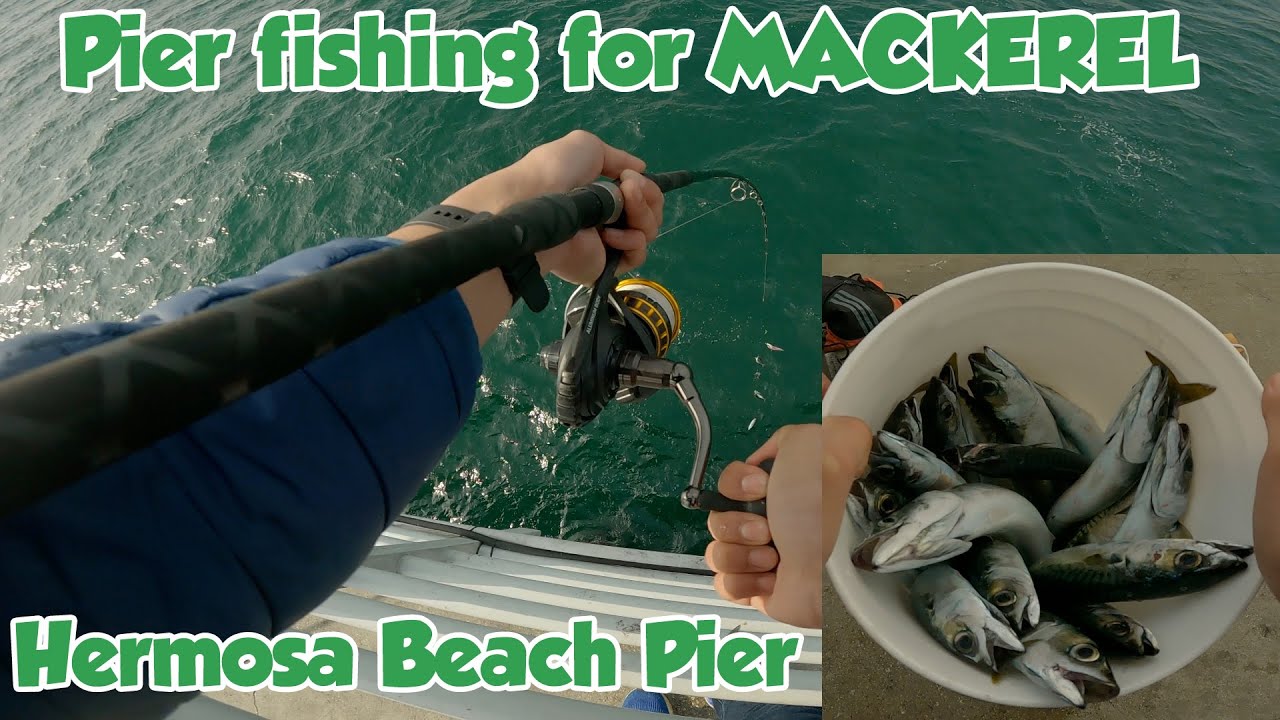 EARLY SEASON MACKEREL BITE! Fishing Hermosa Beach Pier - YouTube
