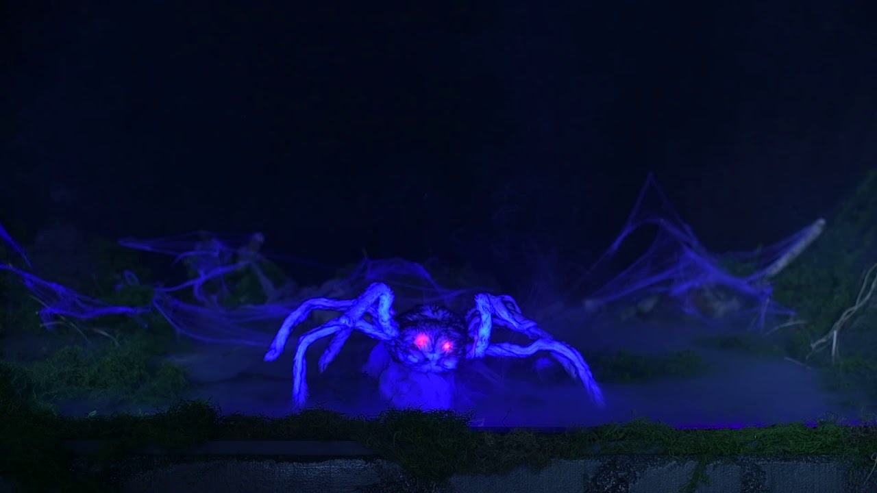 Party City Halloween 2019 Animated Gray & White Jumping Spider Prop ...