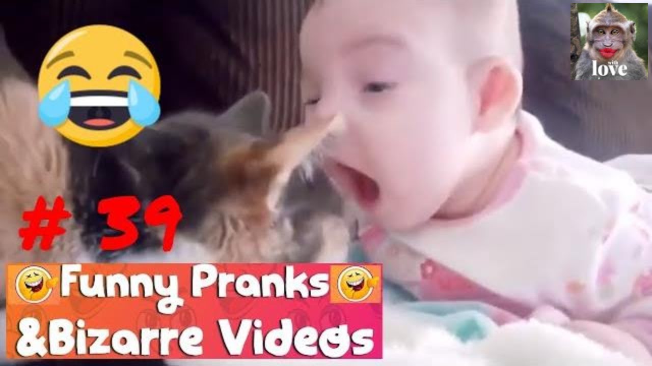 TRY NOT TO LAUGH - CUTE CATS - Baby and Cat Funny Baby Videos - YouTube
