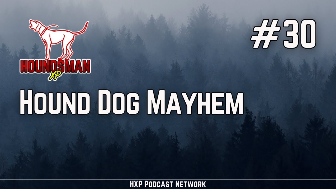 Hound Dog Mayhem | HXP #30 - YouTube