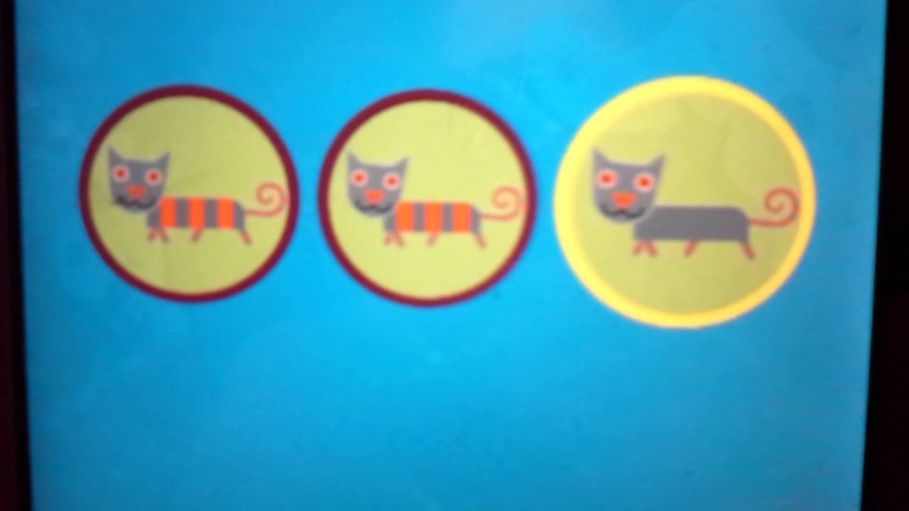 Moose and zee puzzle time 3 cats - YouTube