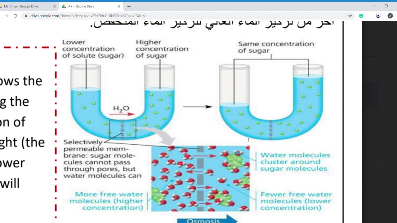 experiment 6 - YouTube