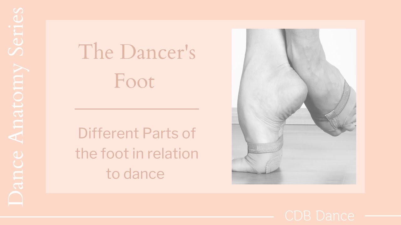 A dancer's foot - Different parts of the foot important for dance - YouTube