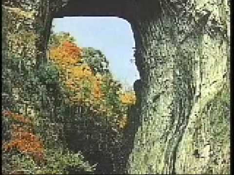 Our Pre-History by Jim Surkamp jimsurkamp.com - YouTube